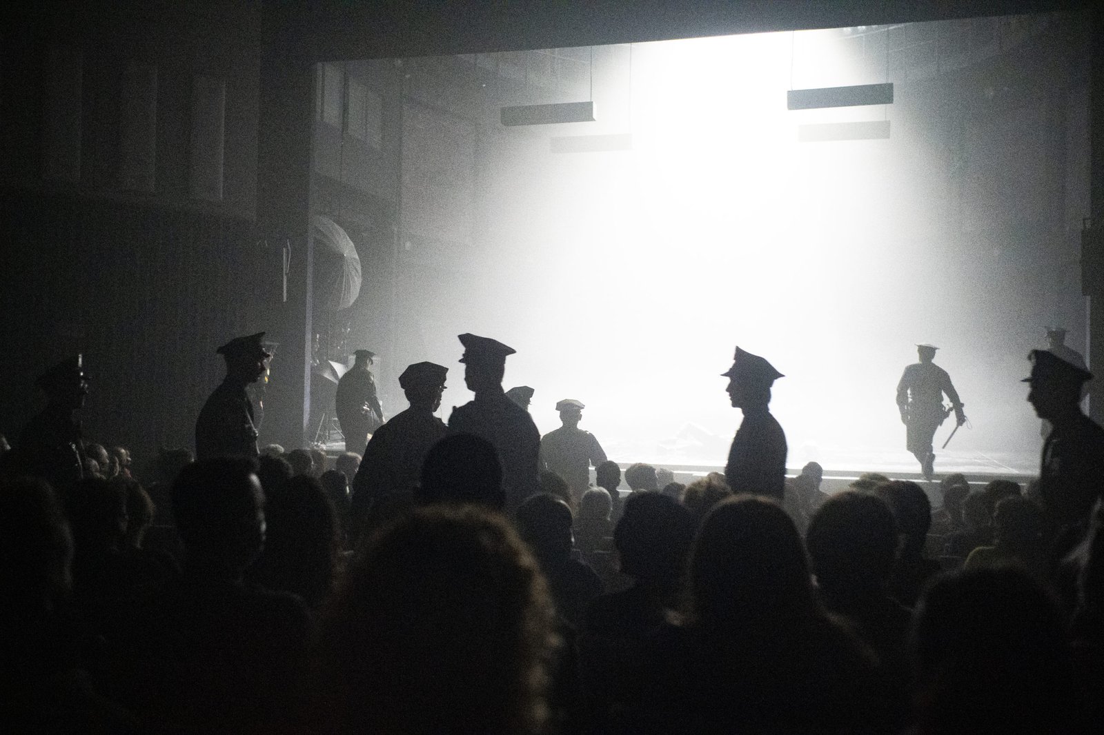 The National Theatre "Mihai Eminescu" Timisoara - The Auditorium